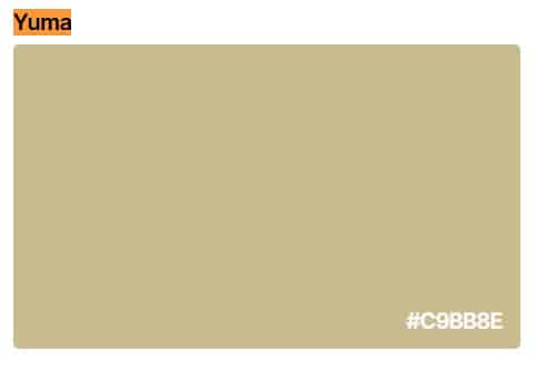 10 Best Popular Tan Garage Walls Colors