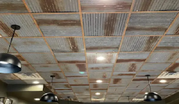 18 Inexpensive Garage Ceiling Ideas: Affordable And Cheap